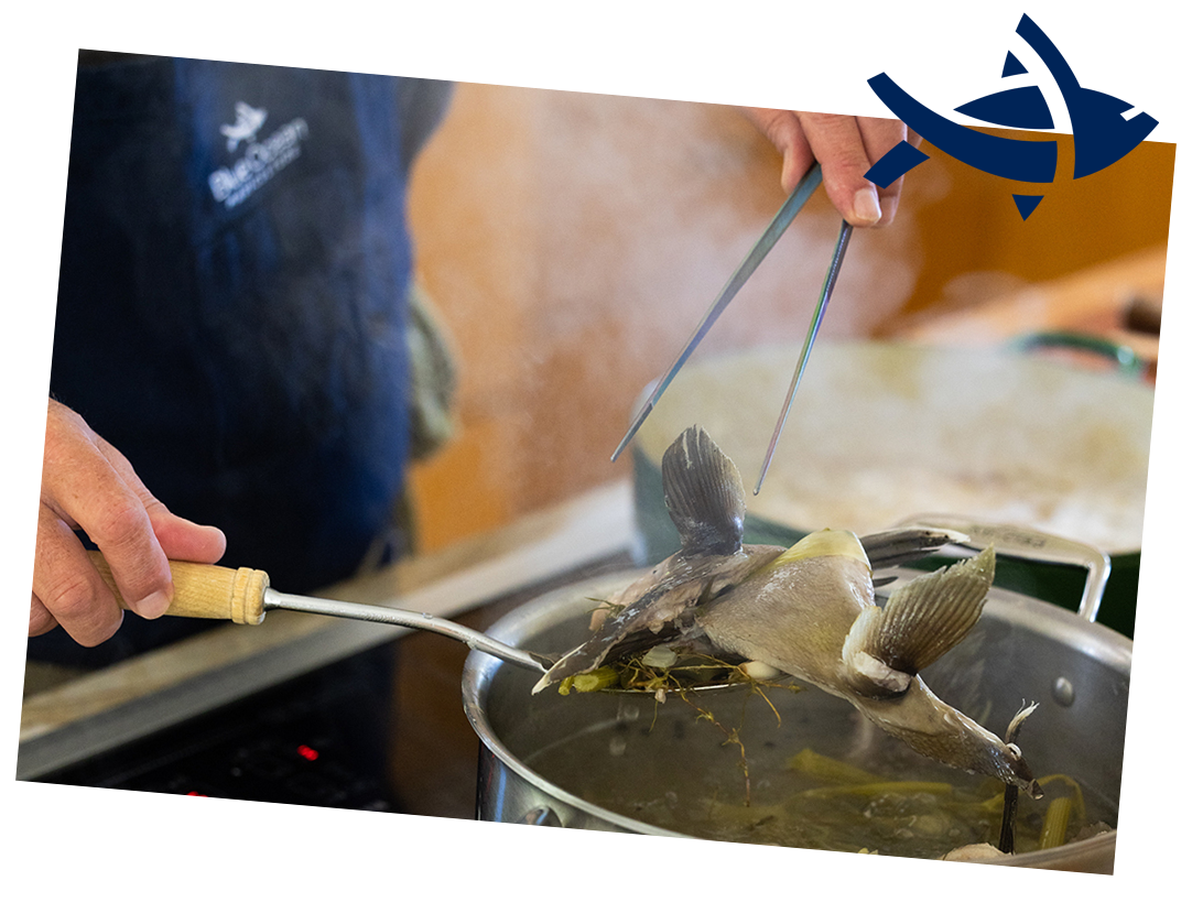 Hawaiian Kanpachi Stock